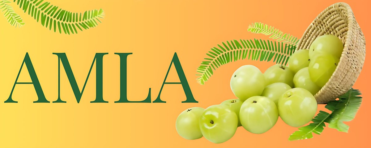 Benefits of Amla for Our Health