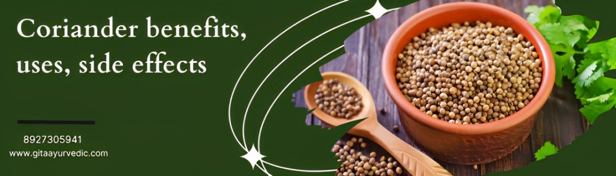 Coriander benefits, uses, side effects – GITA