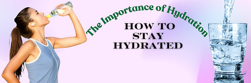 The Importance of Hydration: How to Stay Hydrated